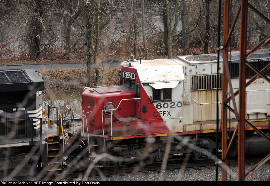 Cab shot of CEFX SD60 6020